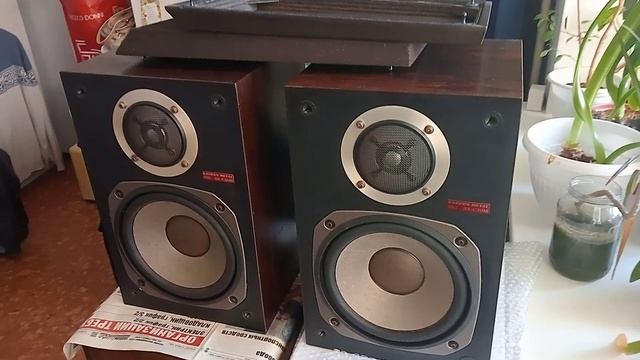 Акустика Otto SX-C20M