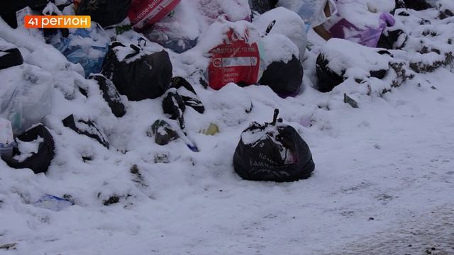 НЕСАНКЦИОНИРОВАННЫЕ МУСОРКИ ИЩУТ В ПЕТРОПАВЛОВСКЕ В ХОДЕ РЕЙДОВ • НОВОСТИ КАМЧАТКИ