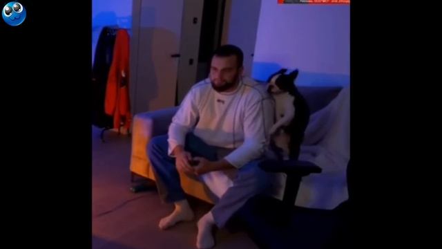 ТИК ТОК МЕМЫ ПОДБОРКА😺