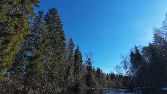 Река Комёла - 15.04.2026