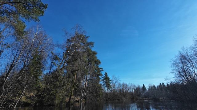 Река Комёла - 15.04.2026