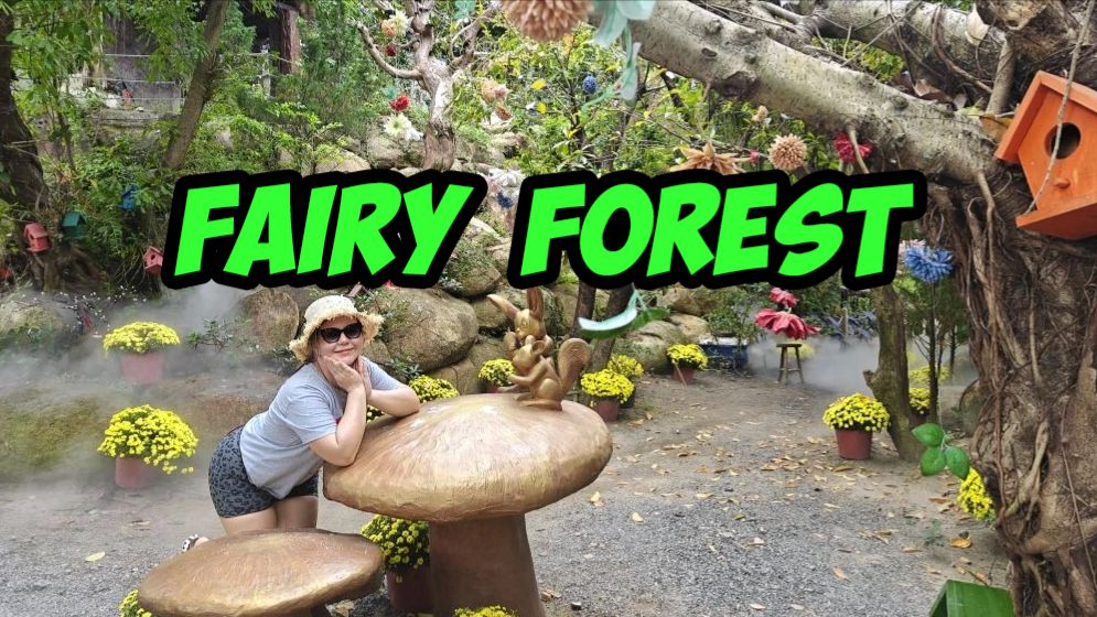 Что посмотреть в Нячанге - Волшебный лес (Fairy Forest)