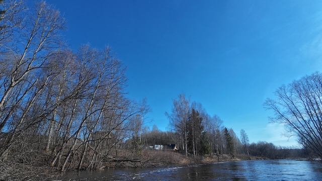 Река Комёла - 15.04.2026