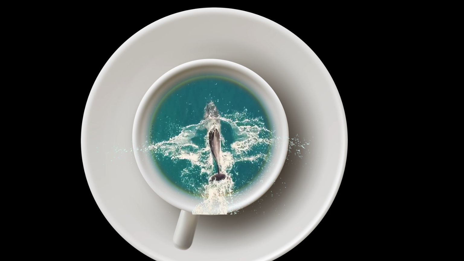 Дельфины в кружке