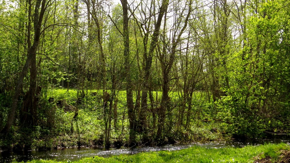 Первое мая 2025 года