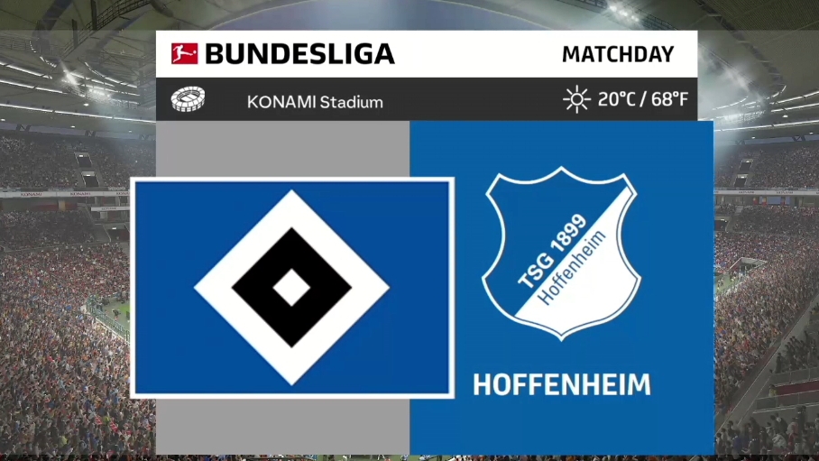 Бундеслига/Гамбург-Хоффенхайм