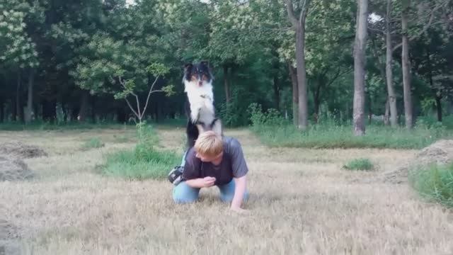 Дог Фрисби Фристайл - Обучение - "Зайка на спине"