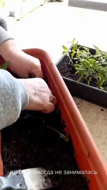 У бабушки в гостях 😍