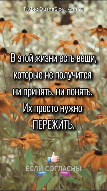 Иногда спасает только смирение. Согласны? #цитаты #мудрыемысли