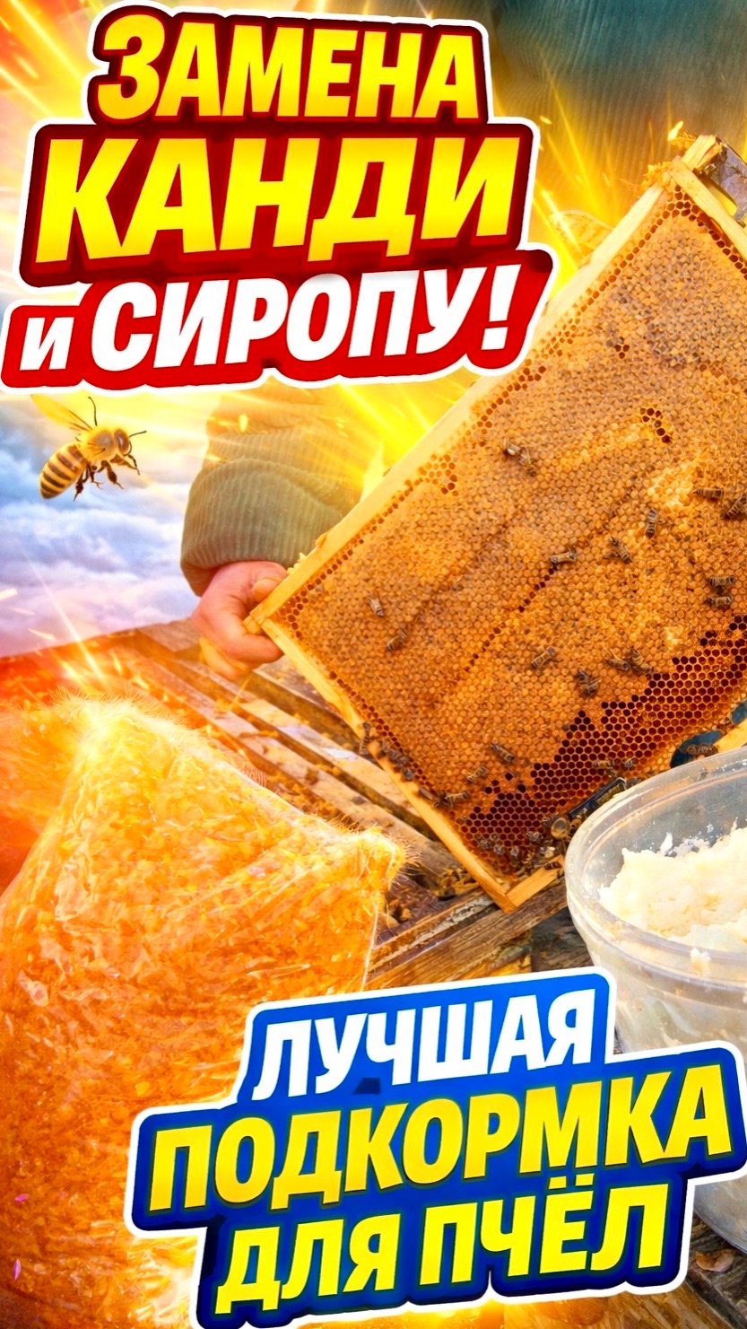 Замена канди и сиропу! Лучшая подкормка для пчёл весной!