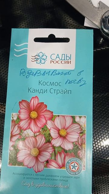 СЕЮ ЦВЕТЫ НА РАССАДУ