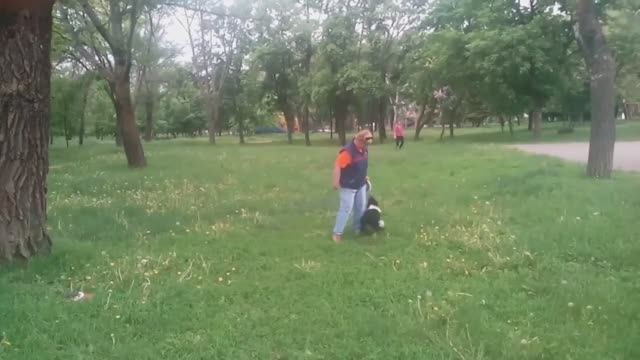 Дог Фрисби Фристайл - Обучение - Совместные движения