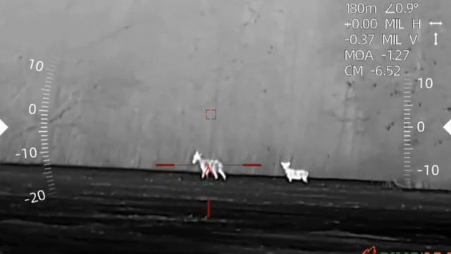 карабин Tikka T3 -прицел Ovod