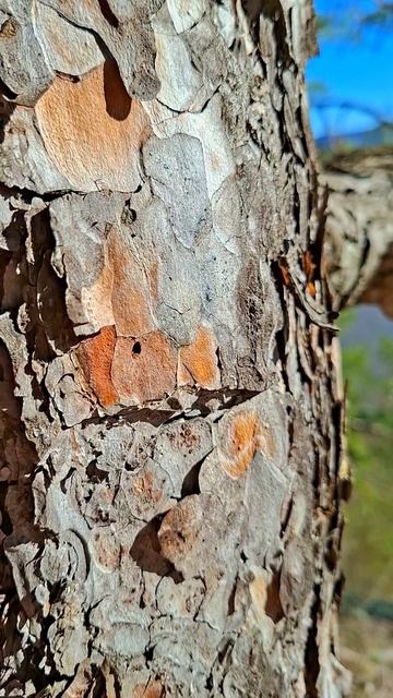 💖Природа - самый талантливый творец