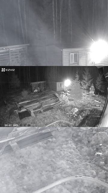 Жуткие звериные крики в ночном лесу