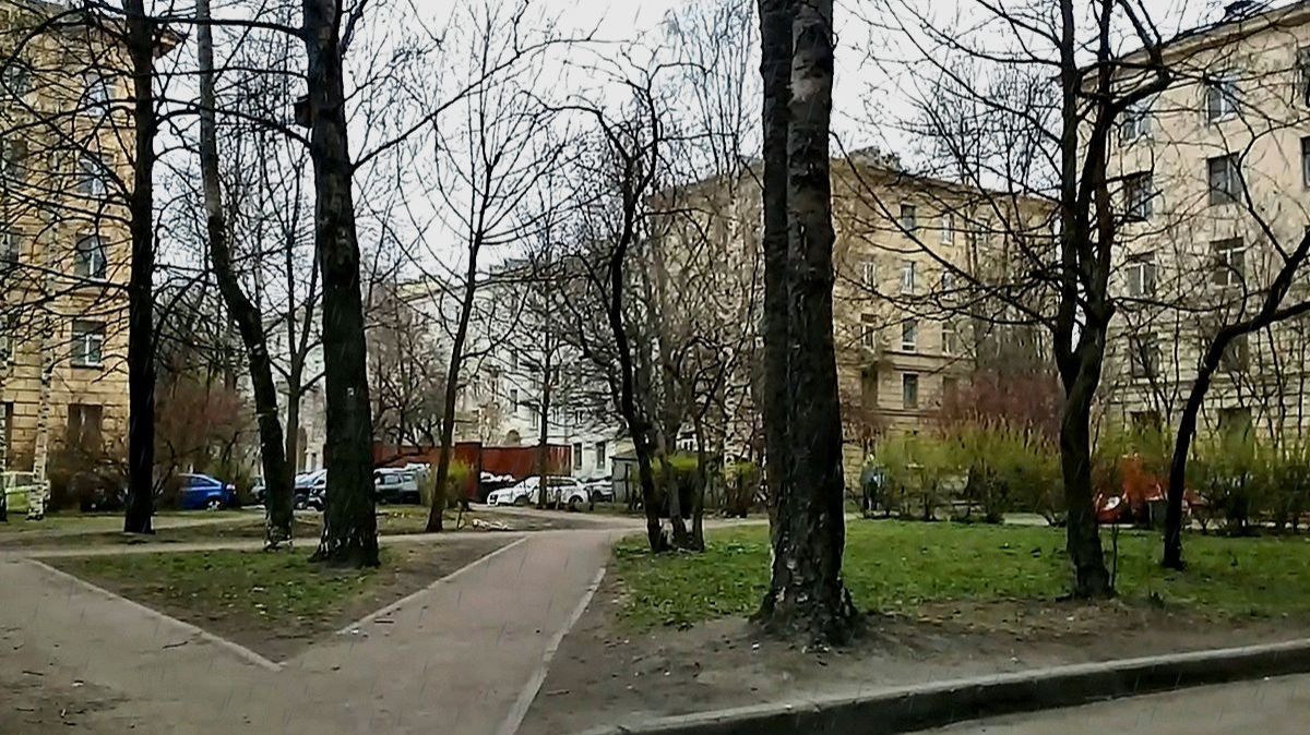 Утренний двор. Моросит дождь ( 15 апреля 2026 года )