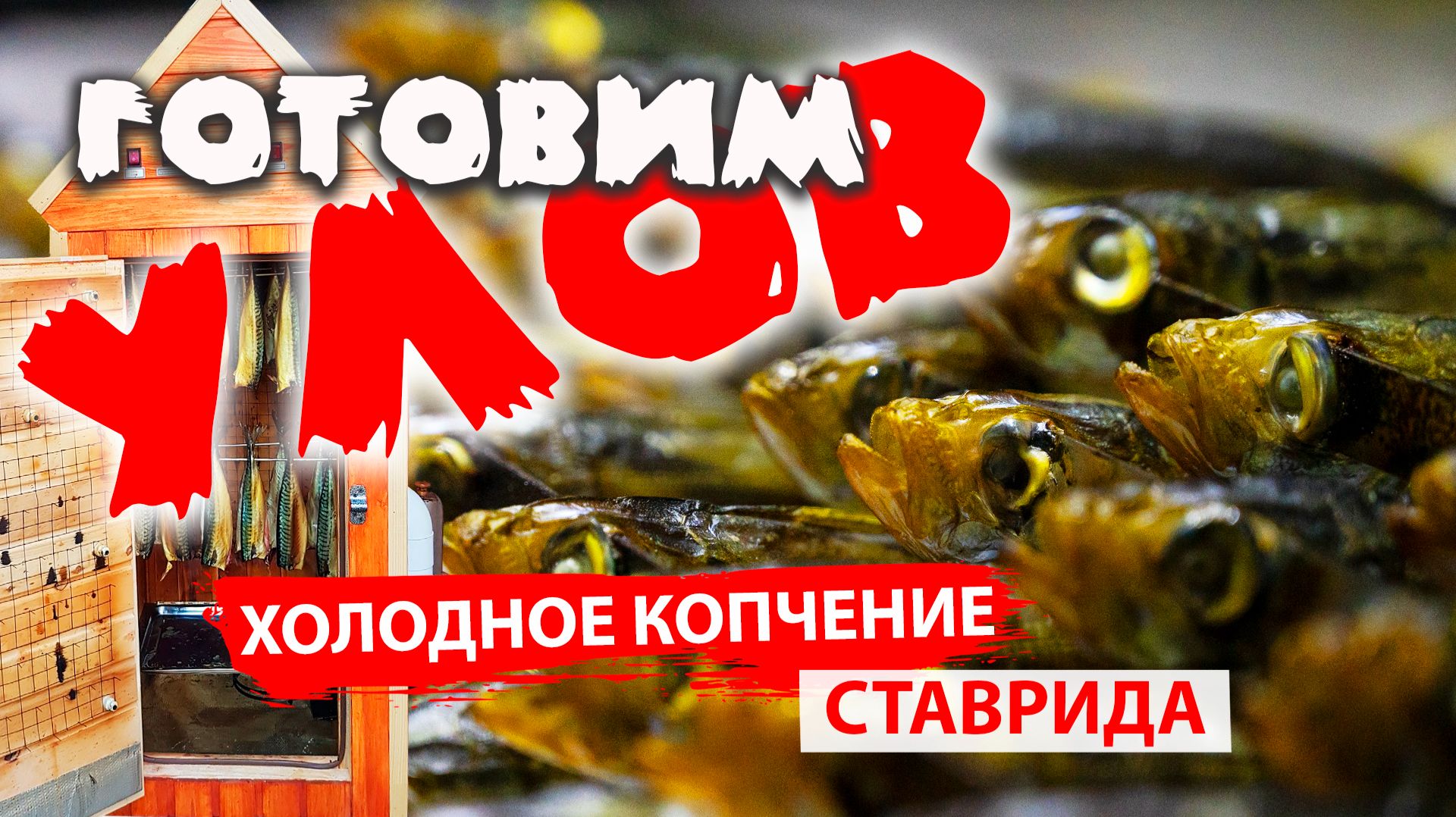 Как приготовить рыбу. Ставрида Черноморская холодного копчения. Простой рецепт. Морская рыбалка