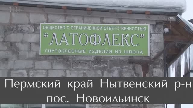 ✅Что такое ЛАТОФЛЕКС ⁉ Производство фанеры, изделий из шпона