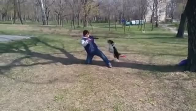 Дог Фрисби Фристайл - Обучение - Каскад и Перелёты