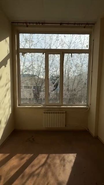 Сдам в аренду помещение 23,5 м2 Трефолева 2Р