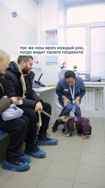 когда видит пациента