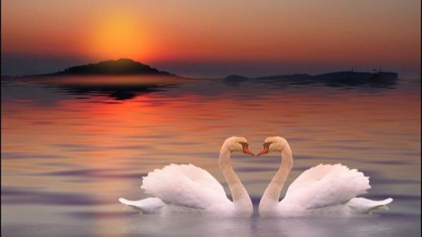 Кот Басё - Девять чужих минут...  Мелодекламация