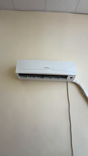 Сдам в аренду мастерскую 21,1 м2 Трефолева 2Р