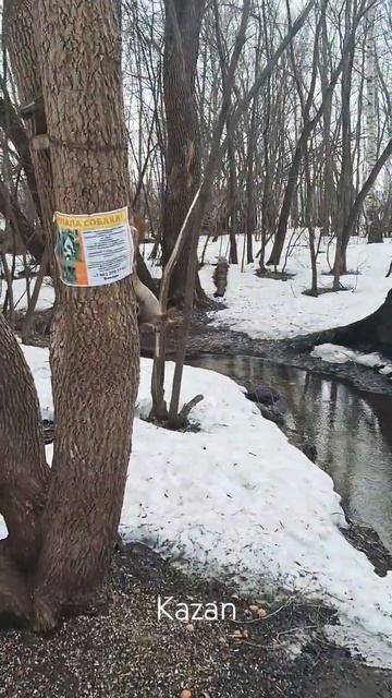 🍃 Русско-немецкая Швейцария без билетов за границу. Казань