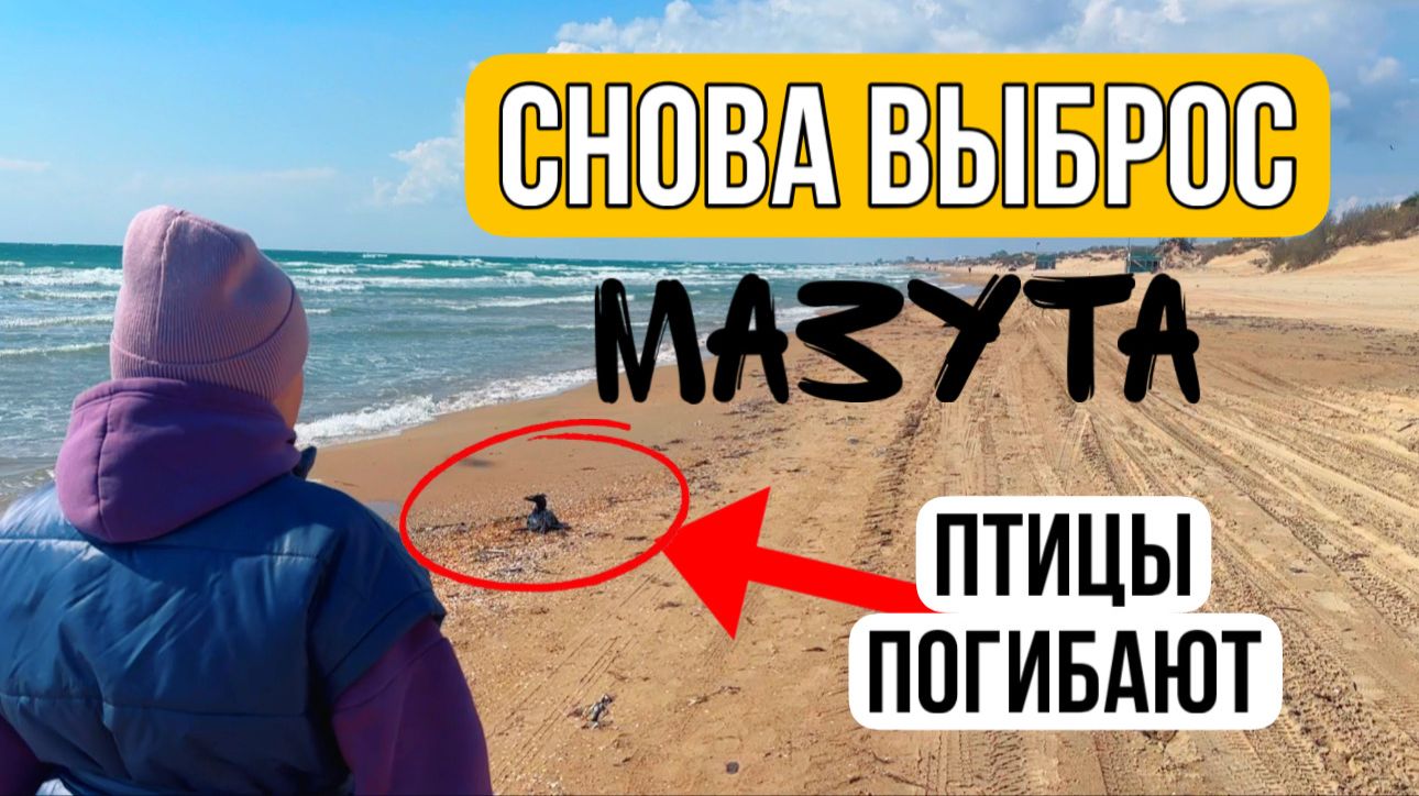 ВЛОГ! Спасли птицу!