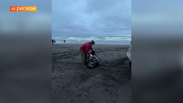 60 ЛИТРОВ МУСОРА СОБРАЛИ КАМЧАТЦЫ НА ХАЛАКТЫРСКОМ ПЛЯЖЕ • БЕЗ КОММЕНТАРИЕВ