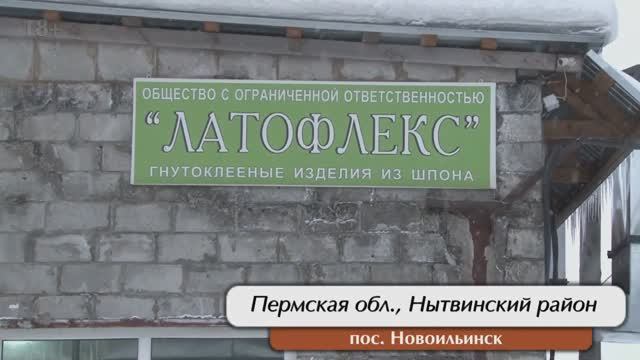 ✅Электропила на фанерном производстве. Отзыв работников Латофлекс. Раскряжевка бревен с ЭПЧ-3