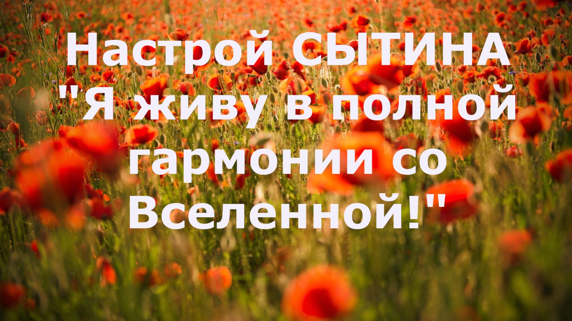 Настрой Г.Н. Сытина "В гармонии со Вселенной!"
