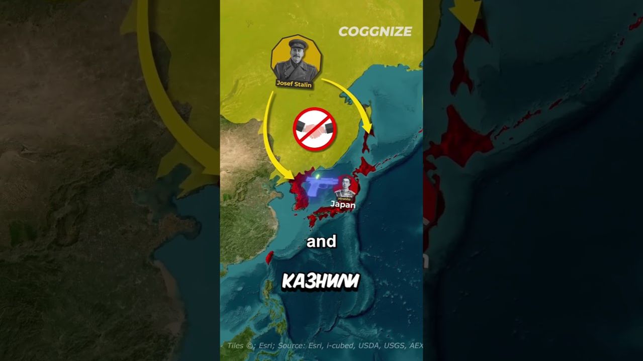 Настоящая Причина Поражения Японии #history #facts #map #shorts #viral #on #top #история #факты