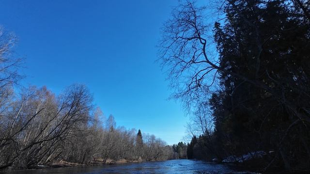 Река Комёла - 15.04.2026