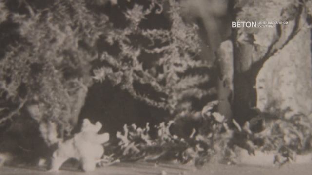 Беседы о фотоискусстве #29 Родченко. Из серии «Самозвери»