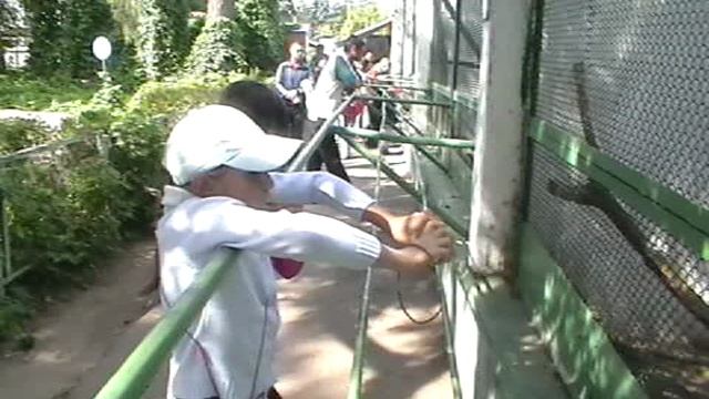 2011_08_28-Казань 2011