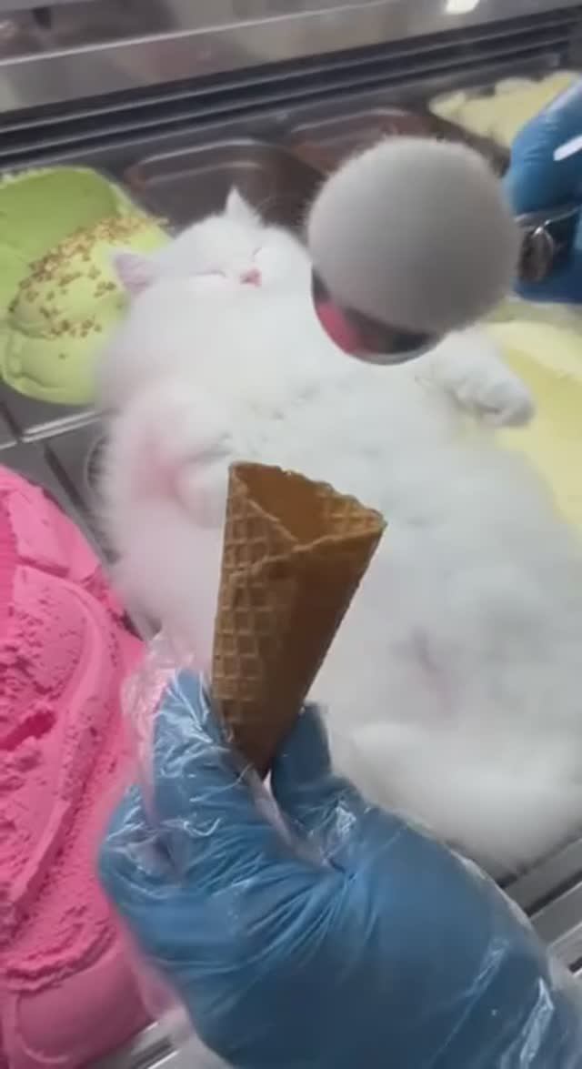 Пушистое мороженое. 😉