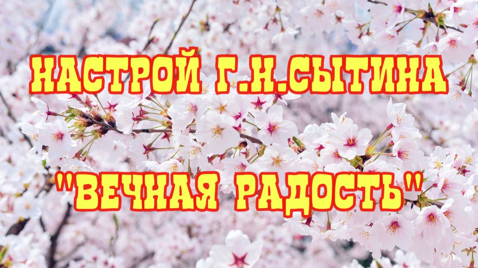 Настрой Г.Н. Сытина "Вечная радость"