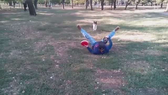 Дог Фрисби Фристайл - Связка - Совместные движения - Проходы - Перелёты