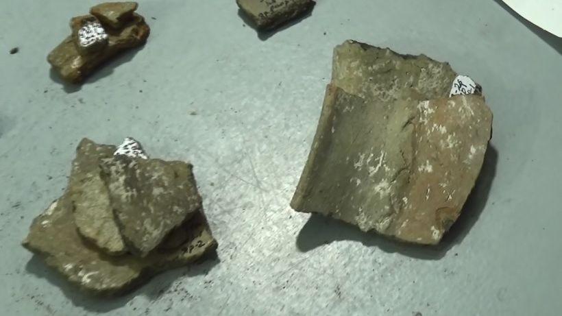 Сенсация! Жилище эпохи поздней бронзы из раскопа по улице Украинская, 101