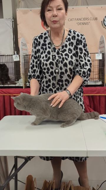 Рапунцель на WCF ринге 11апр.2026