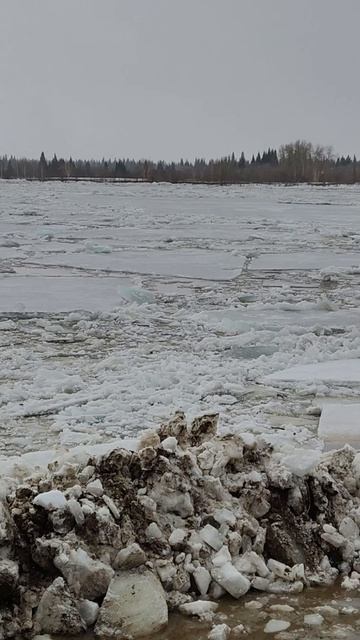 Ледоход на реке Томь (окрестности города Томска) 12.04.2026