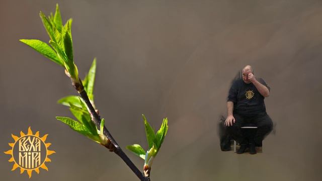 Механика зацепления силы.