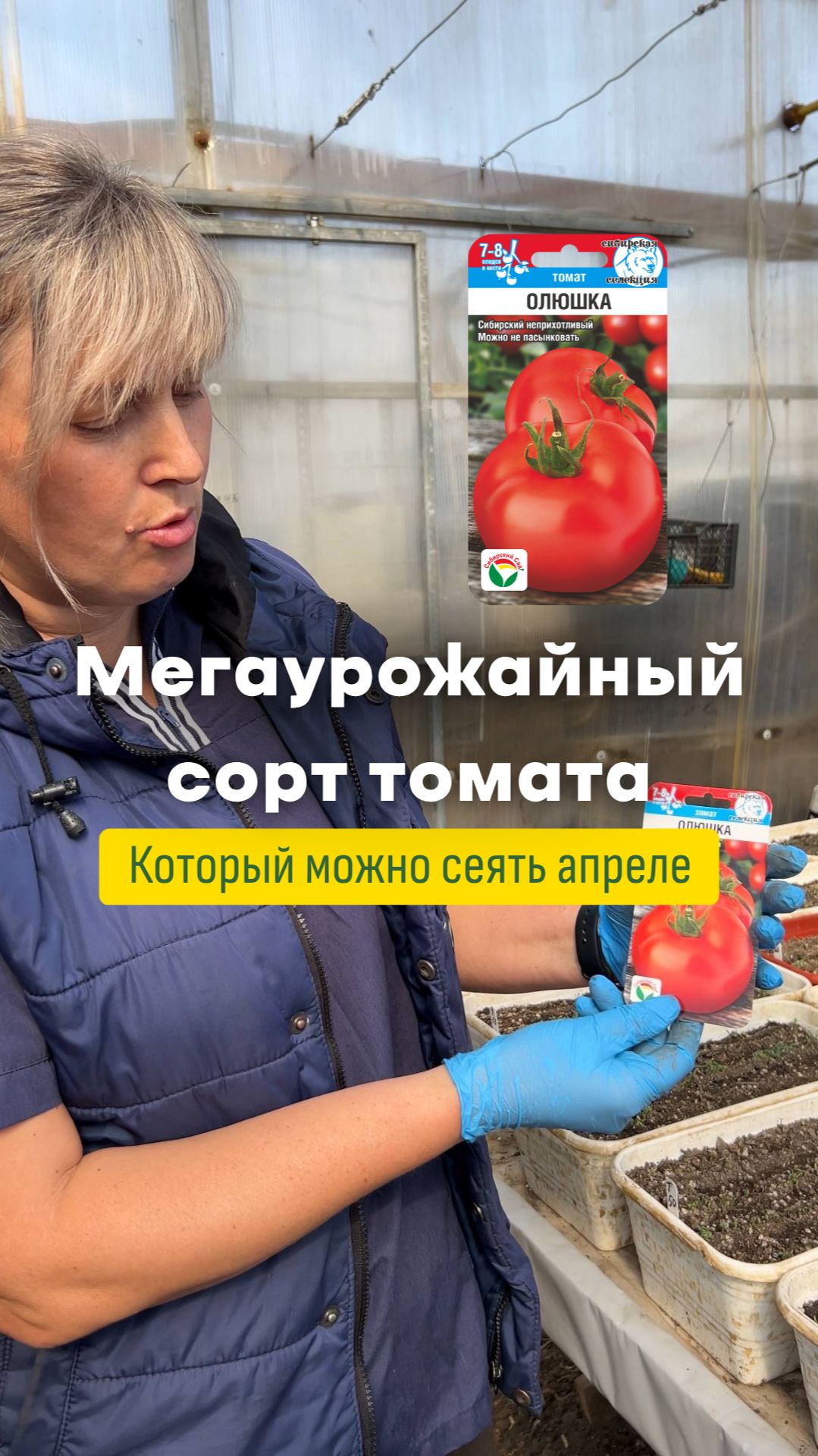 Неприхотливый сорт томата «Олюшка»