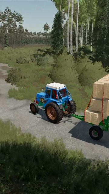 Перевозка пиломатериалов на лтз 55 в FS - 22