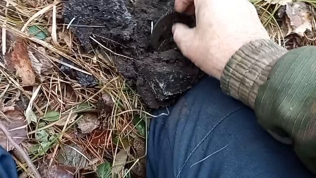 Нашел знатный Артефакт