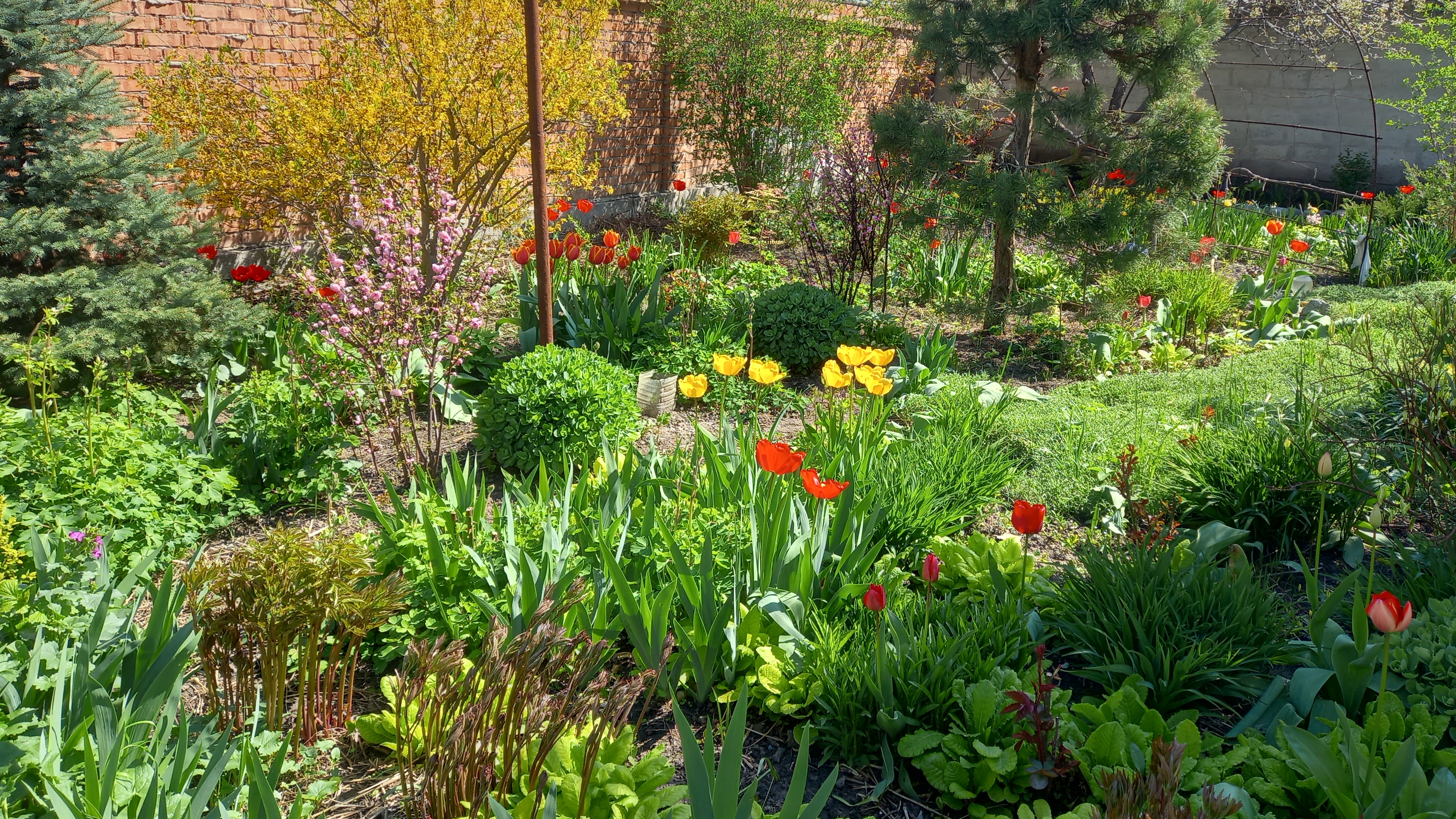 17-04-2026 ВЛОГ ПОДАРОК СЧАСТЛИВЫЙ САД  ПОКУПКИ ВЯЖУ КОРЗИНУ ДЛЯ ТЕМЫ