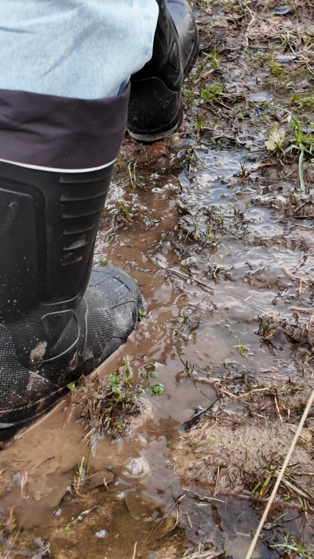 Живой забор на подходе!