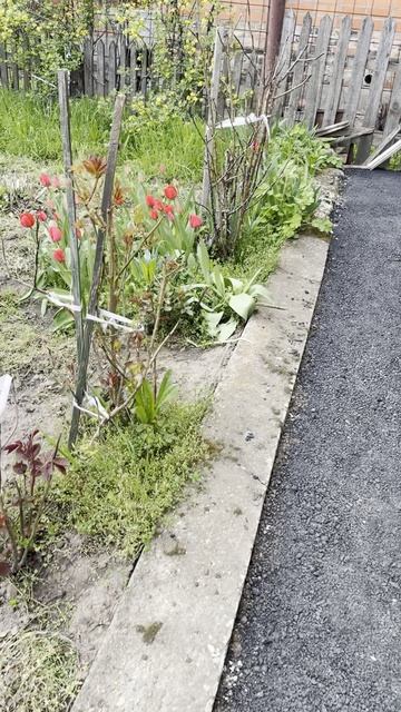 Пришли к бабушке и дедушке ❤️