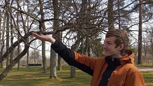 Пасха 2026, Пушкин
